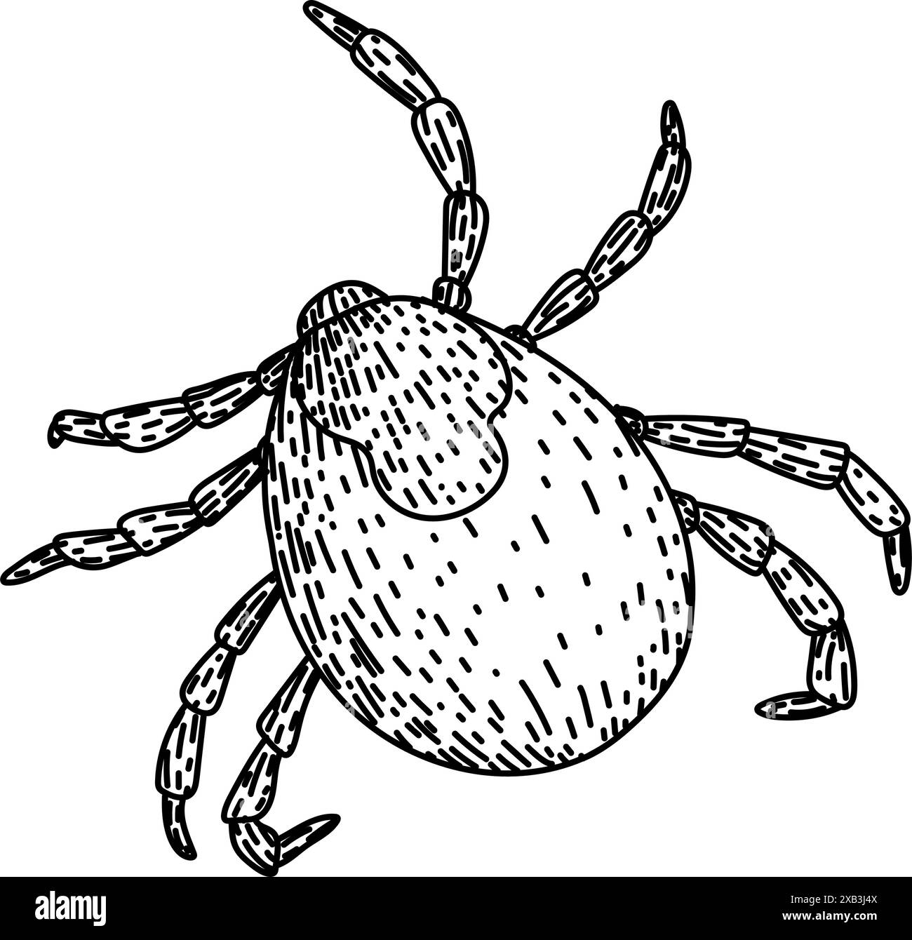 Tick insect warning sign Black and White Stock Photos & Images - Alamy