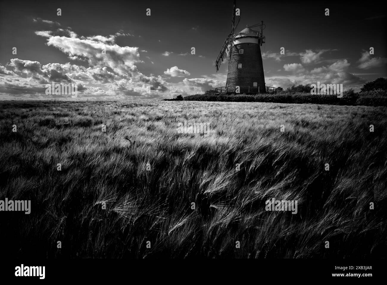 Thaxted Essex England. John Webb's windmill built in 1804. Photographed ...