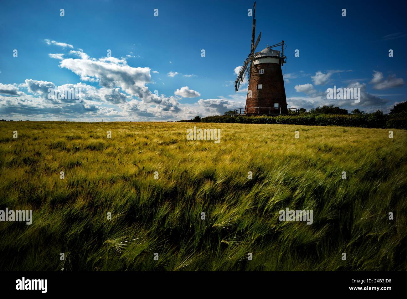 Thaxted Essex England. John Webb's windmill built in 1804. Photographed ...