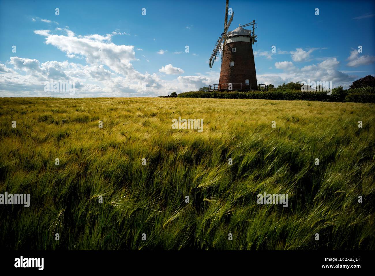 Thaxted Essex England. John Webb's windmill built in 1804. Photographed ...