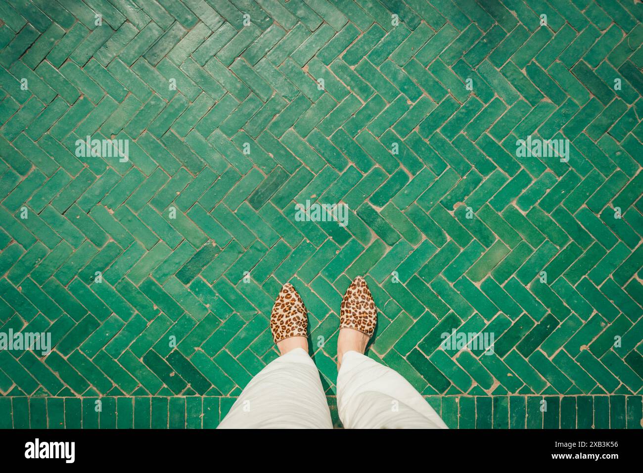 Young woman's feet selfie, leopard print shoes, bright green tiled ...