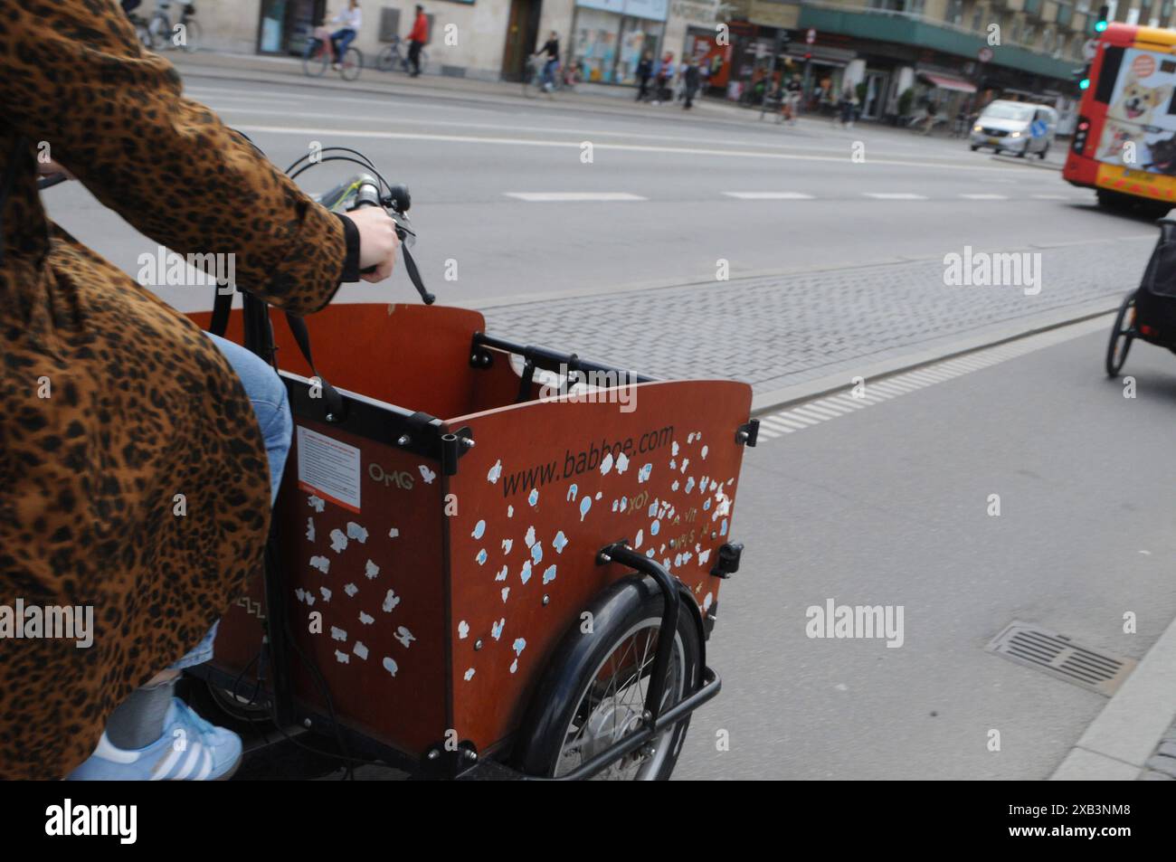 Copenhagen/ Denmark/10 JUNE 2024/ Cargo bikes are very popular in ...