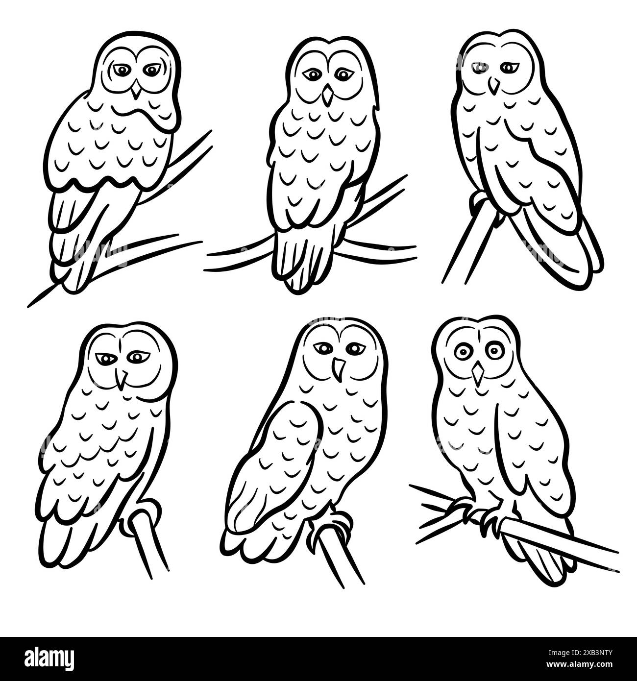 Owls outline set, black white sketch illustration Stock Vector Image ...