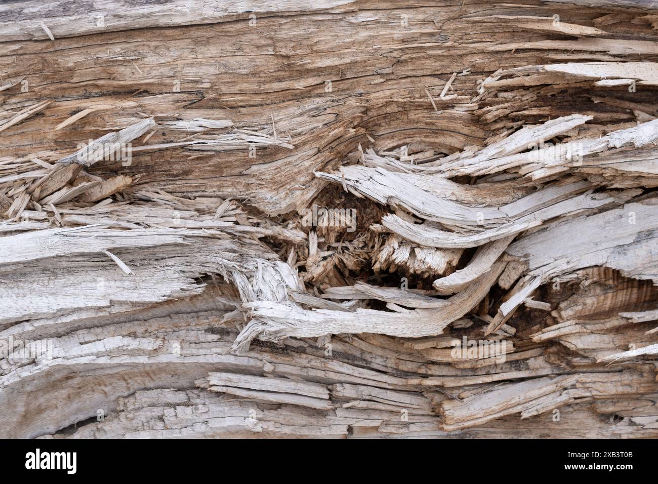 Background is made torn wood fibers Stock Photo - Alamy