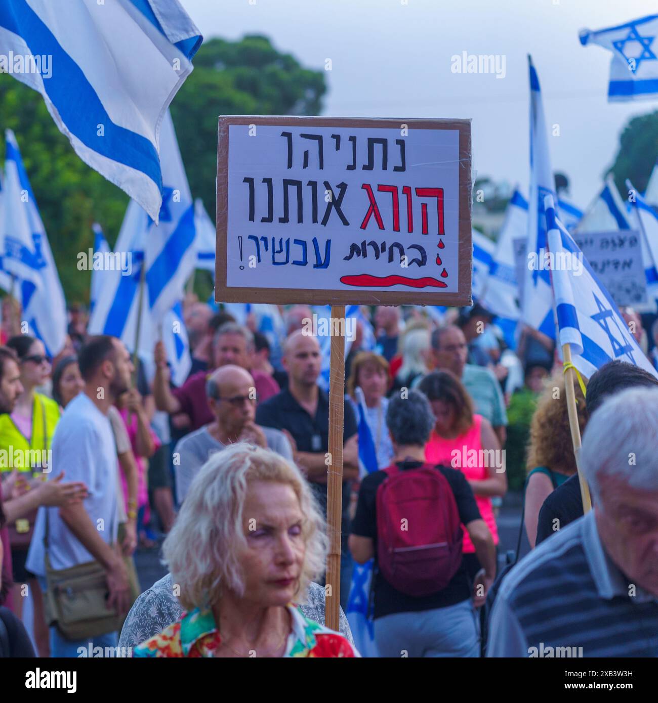 Haifa, Israel - June 08, 2024: Crowd of people with various signs and ...