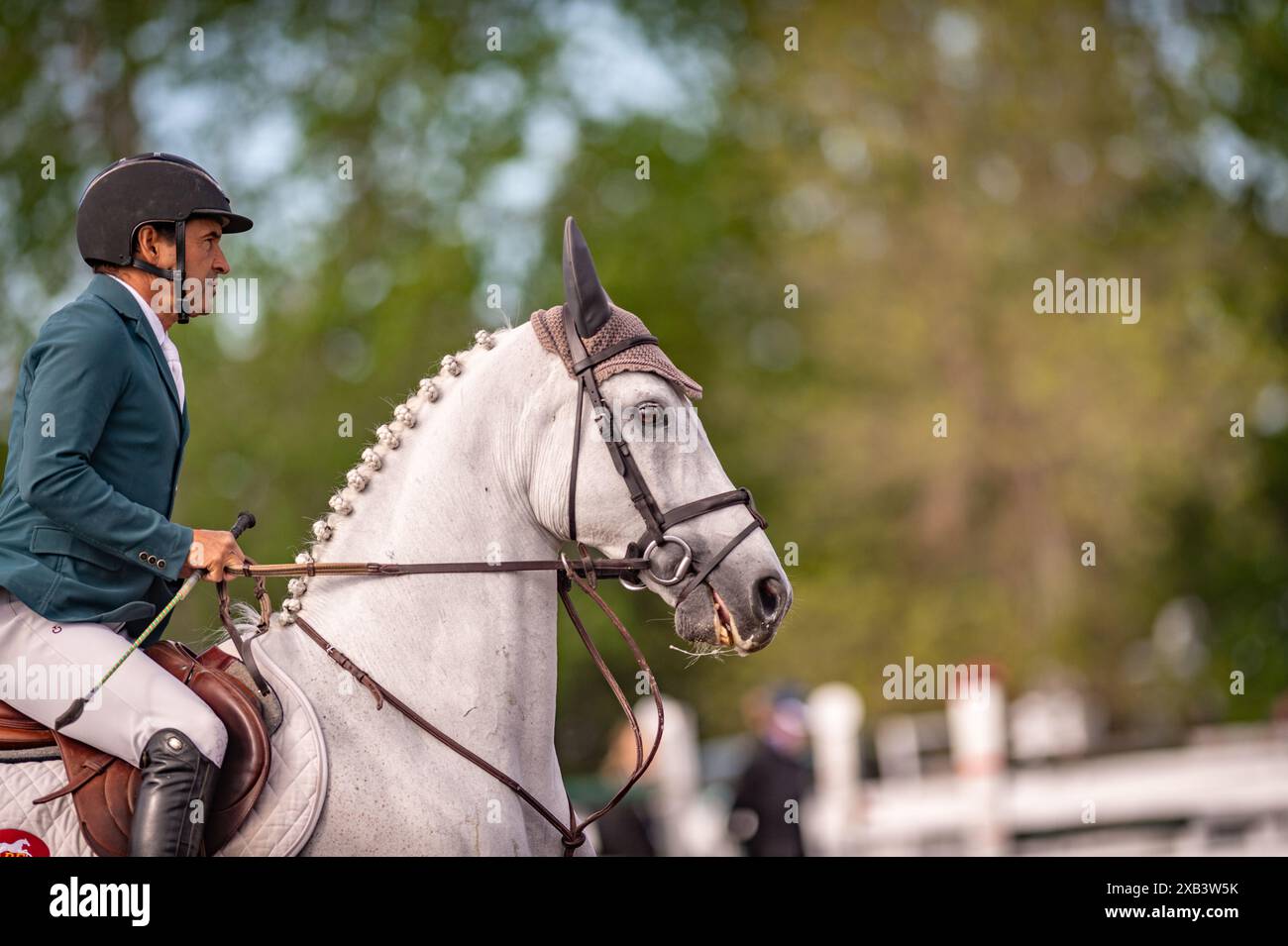 scenes from Spruce Meadows Horse Show Stock Photo - Alamy