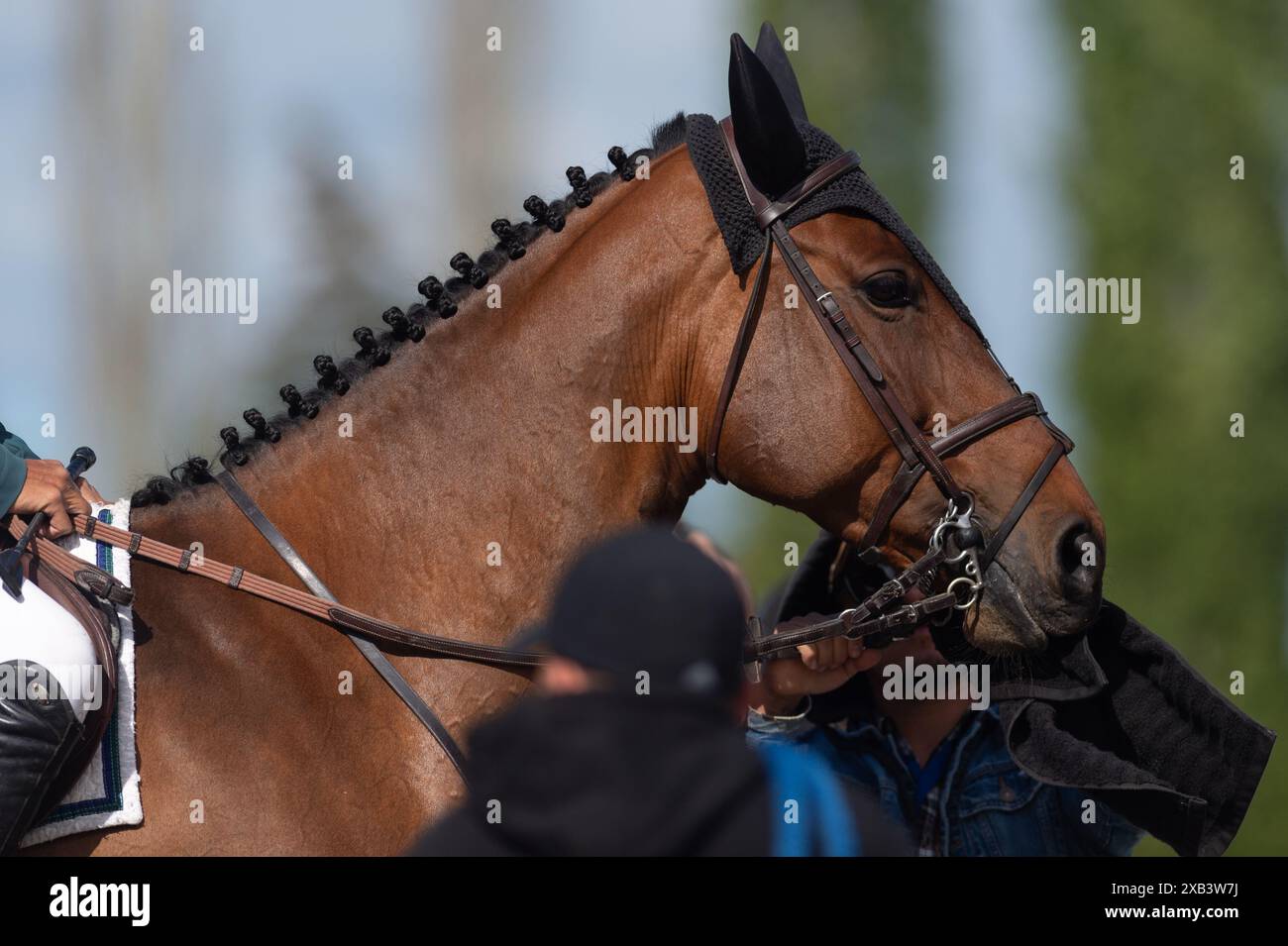 scenes from Spruce Meadows Horse Show Stock Photo - Alamy