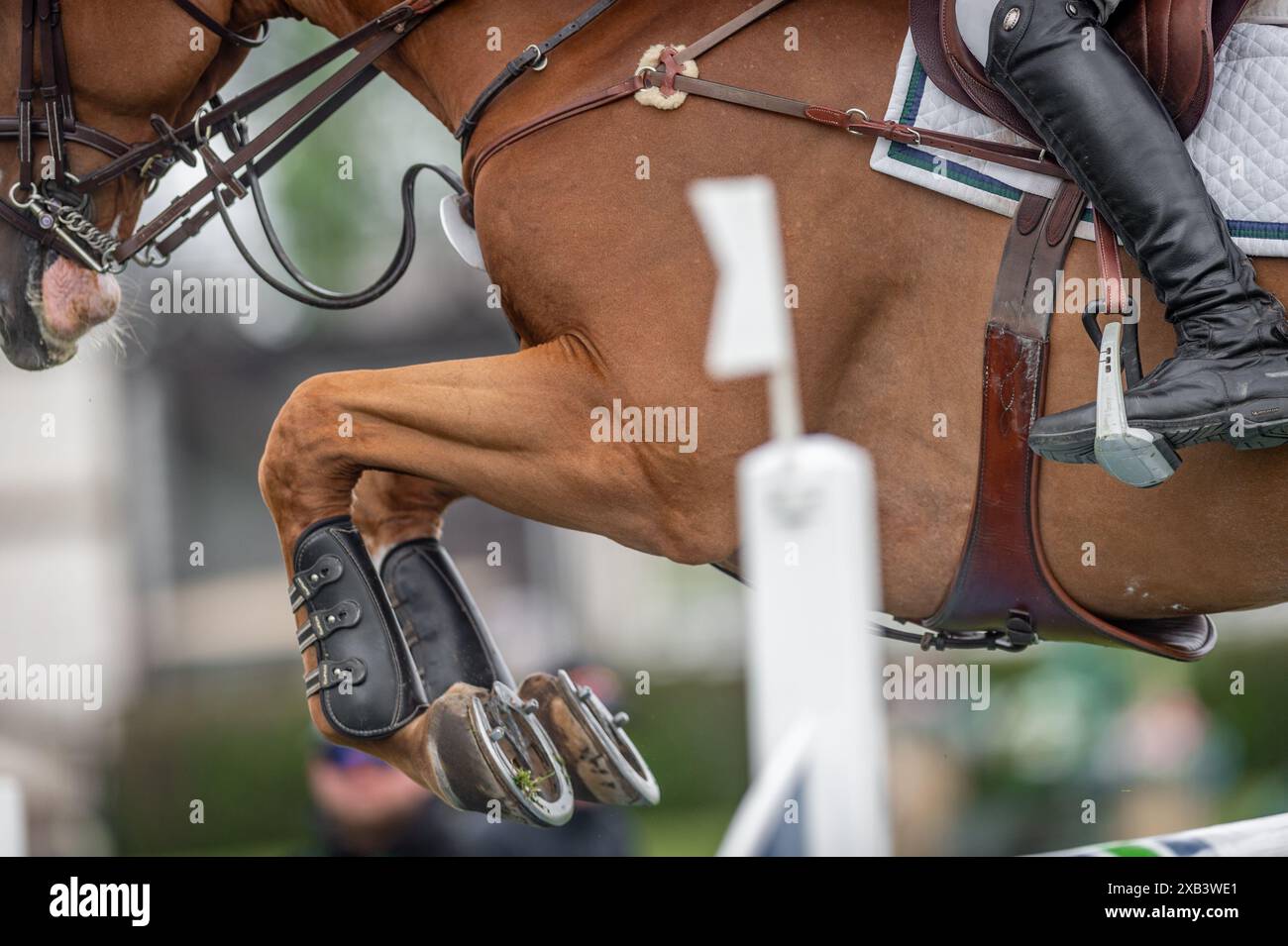 scenes from Spruce Meadows Horse Show Stock Photo - Alamy