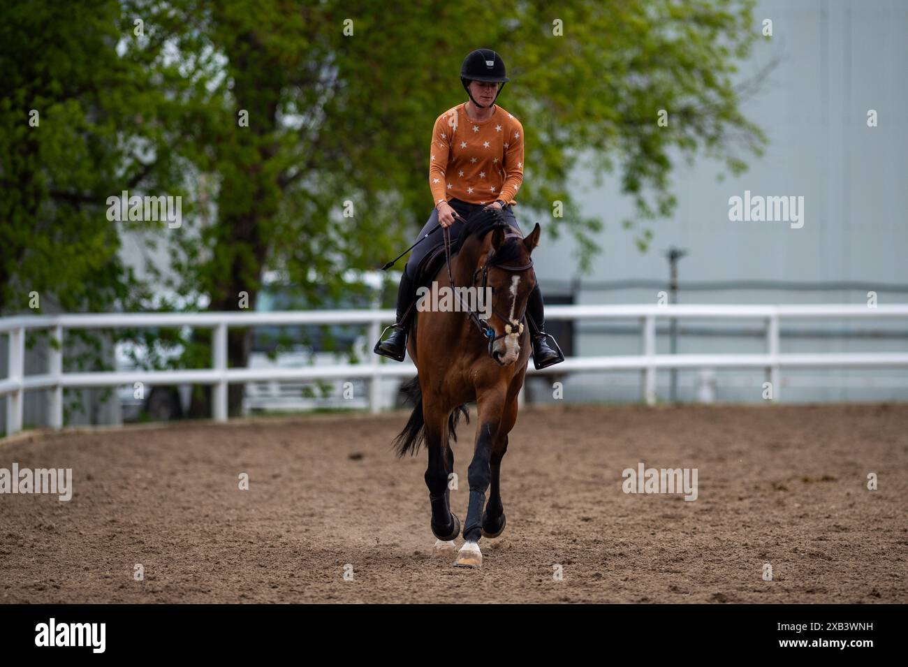 scenes from Spruce Meadows Horse Show Stock Photo - Alamy