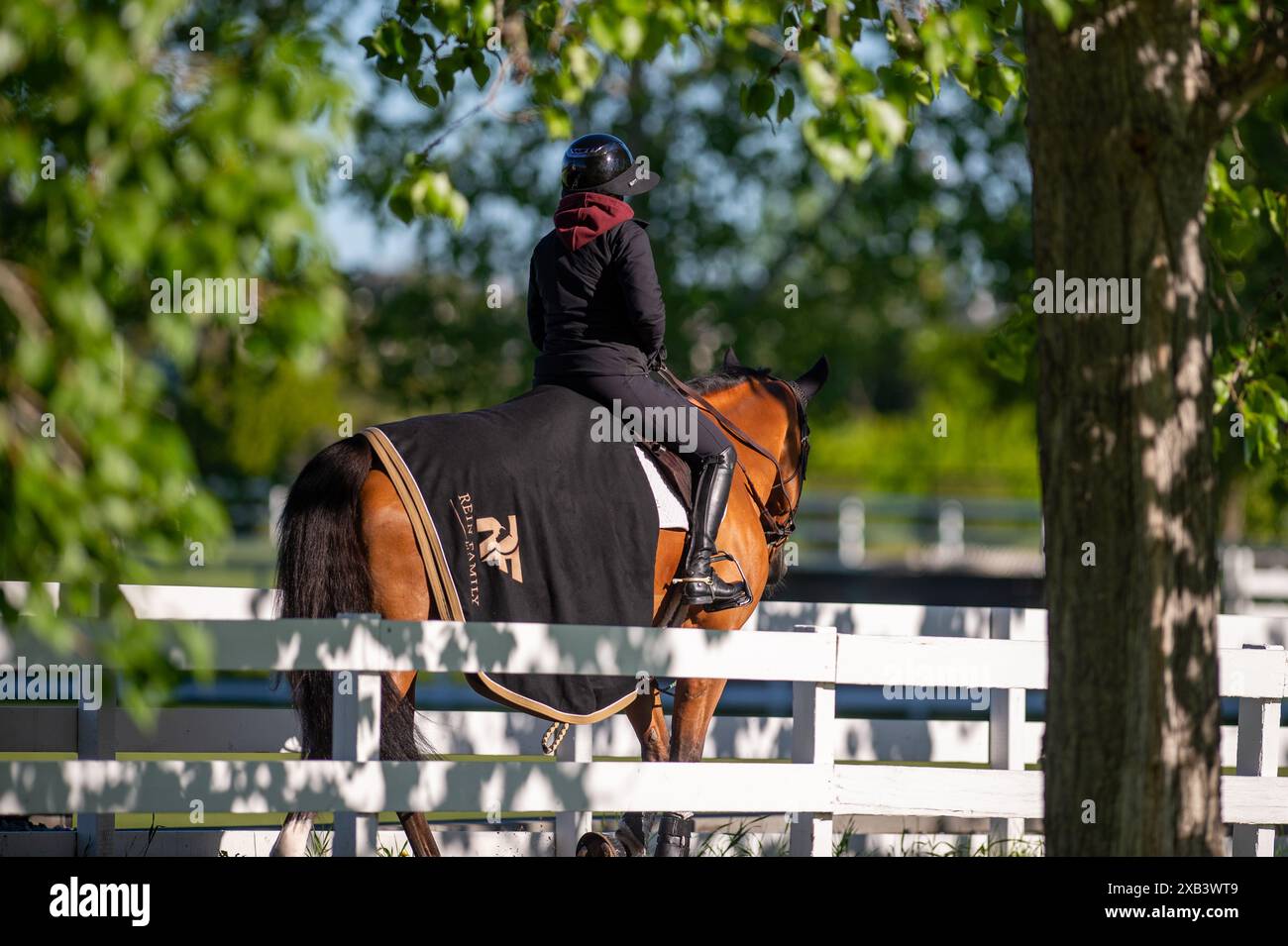 scenes from Spruce Meadows Horse Show Stock Photo - Alamy