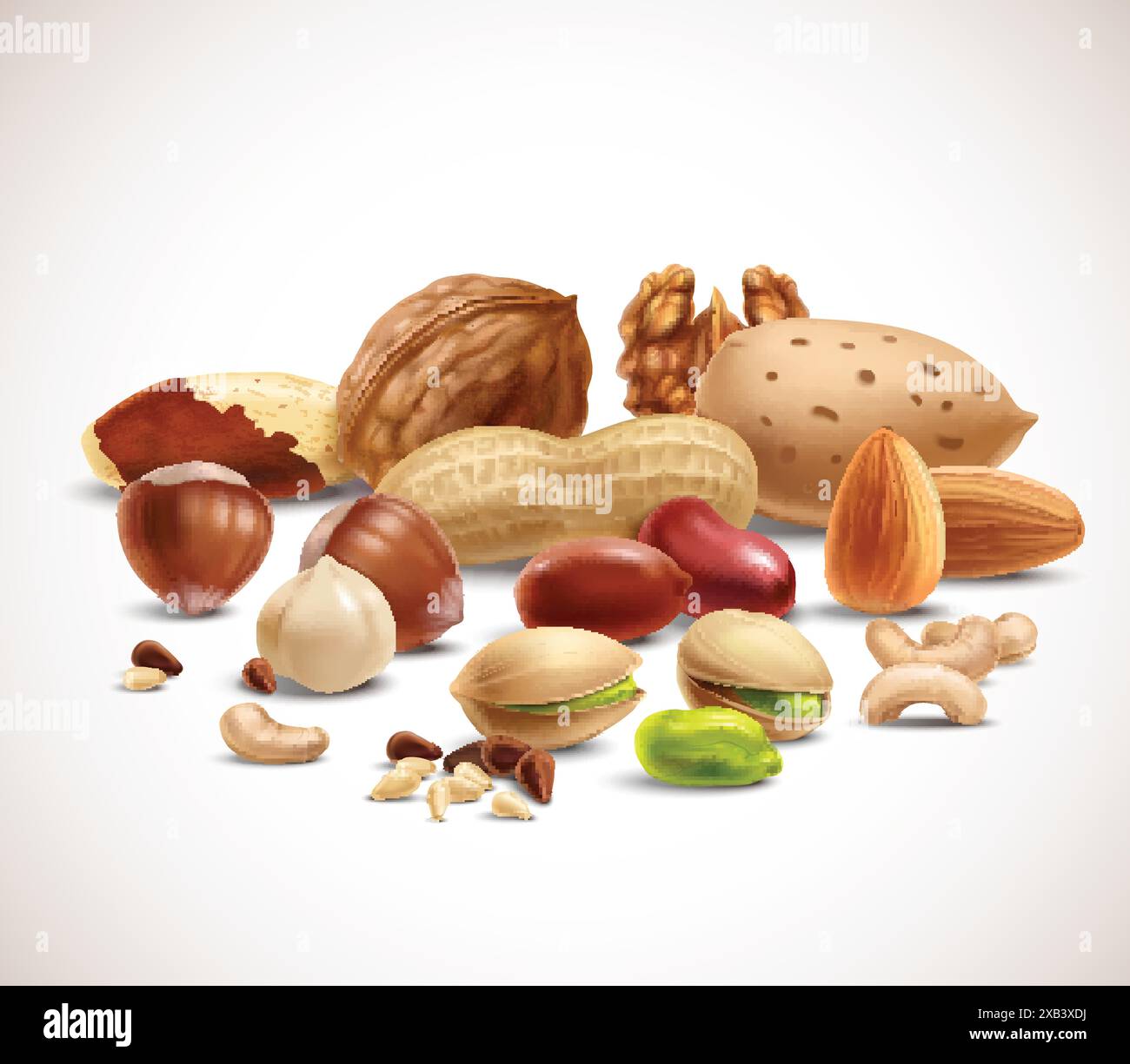 Assorted nuts set iasolated on white background Stock Vector Image ...