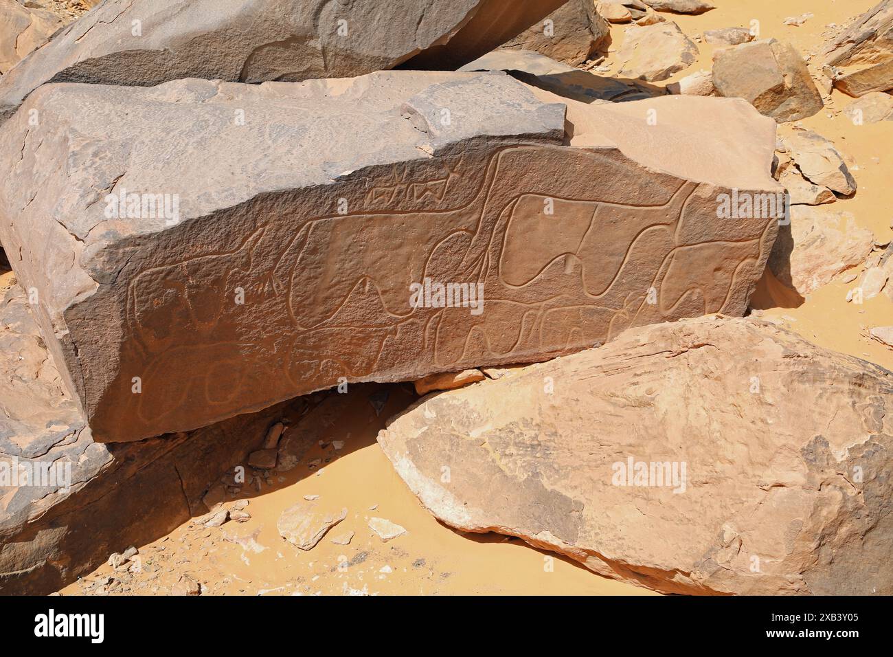 Petroglyphs at Taghit in Western Algeria Stock Photo - Alamy