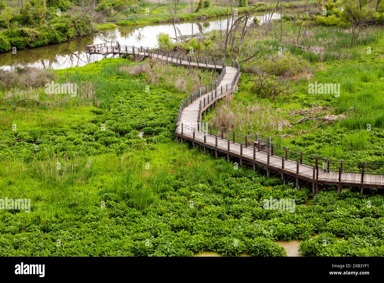 The marsh boardwalk at the Galien River County Park near New Buffalo ...