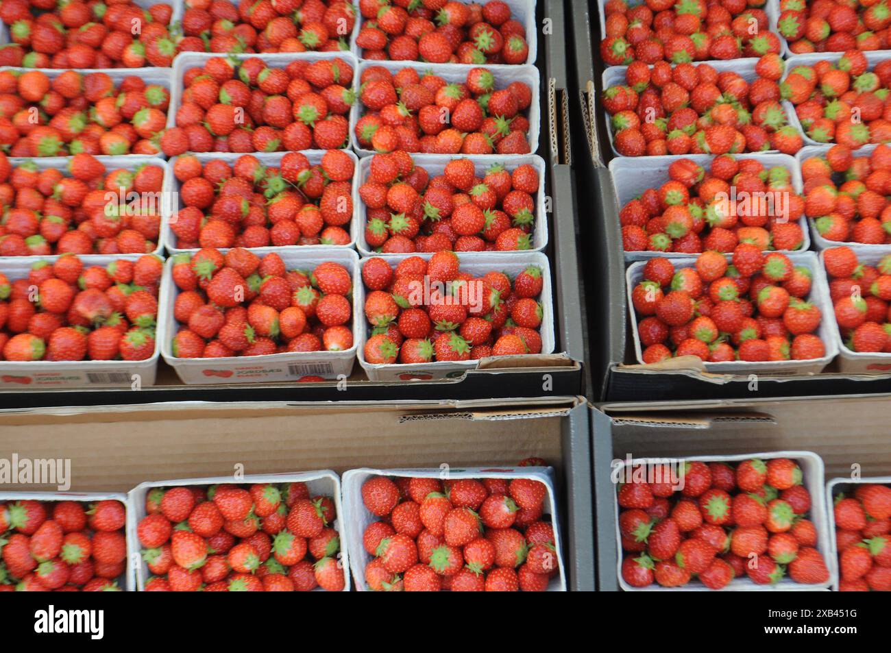 Copenhagen/ Denmark/10 JUNE 2024/Fruit and flowers vendors sells danis ...