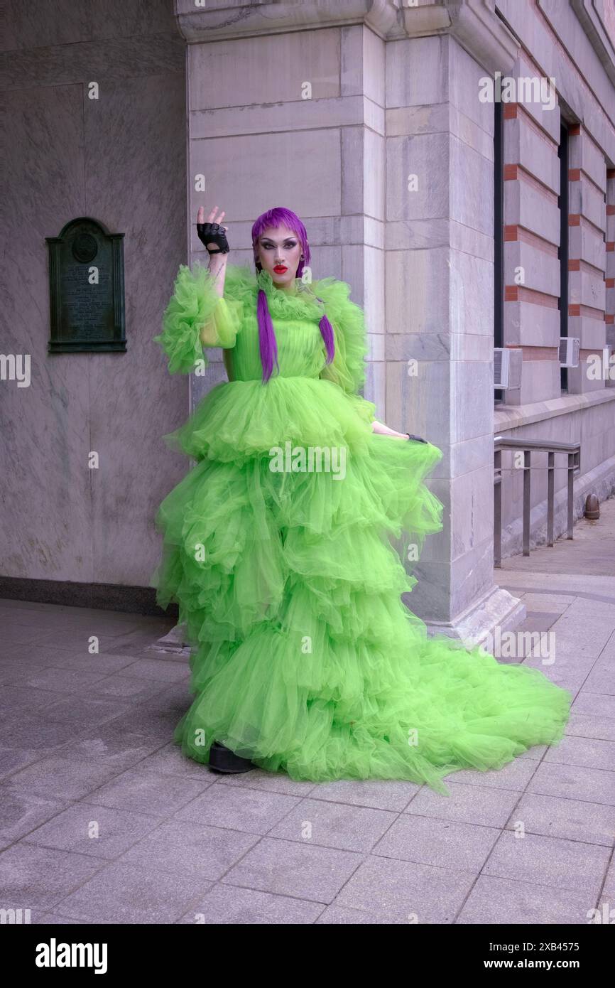 A slender tall man in drag wearing an ornate green dress & purple hair ...