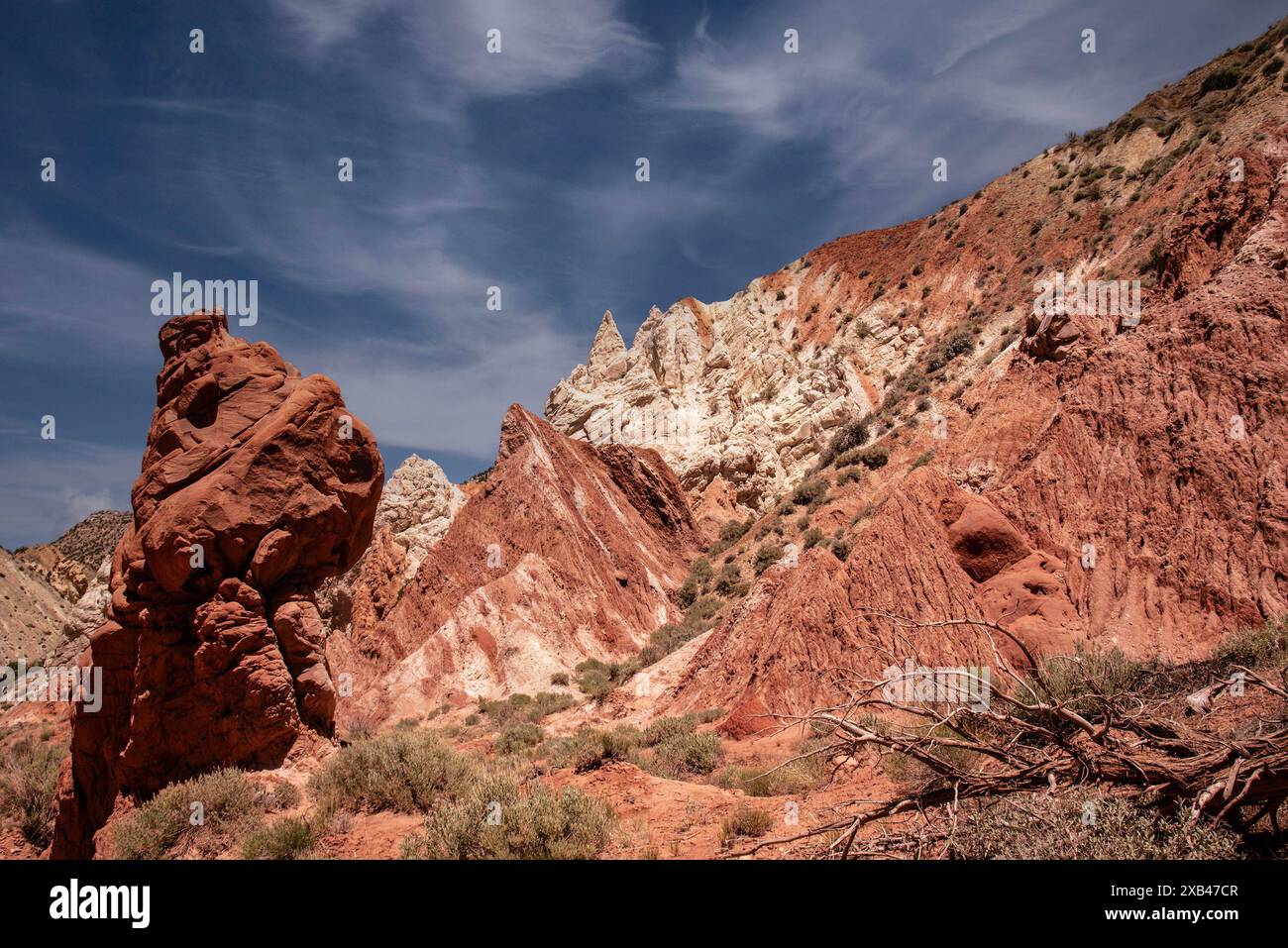 Gelato-colored rocks along 17-mile dirt road leading through Grand ...