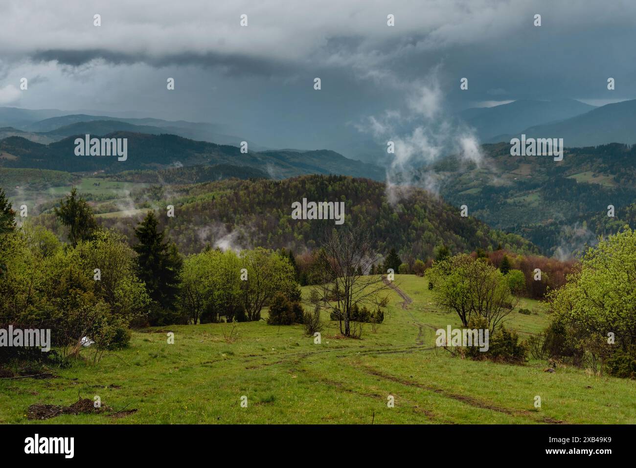 Golija mountain hi-res stock photography and images - Alamy