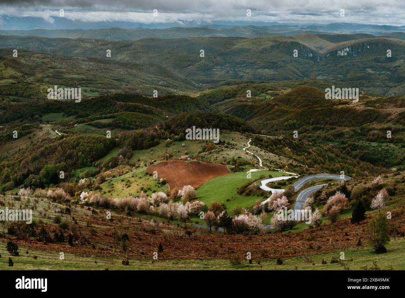 Golija mountain hi-res stock photography and images - Alamy