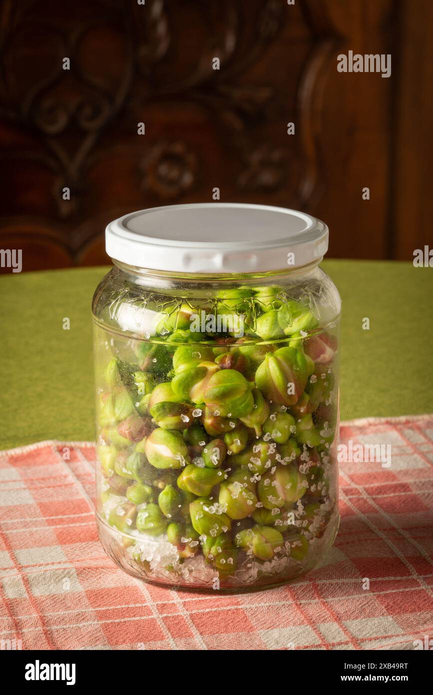 Capers buds preserved in a jar with salt, to be used as pickle or ...