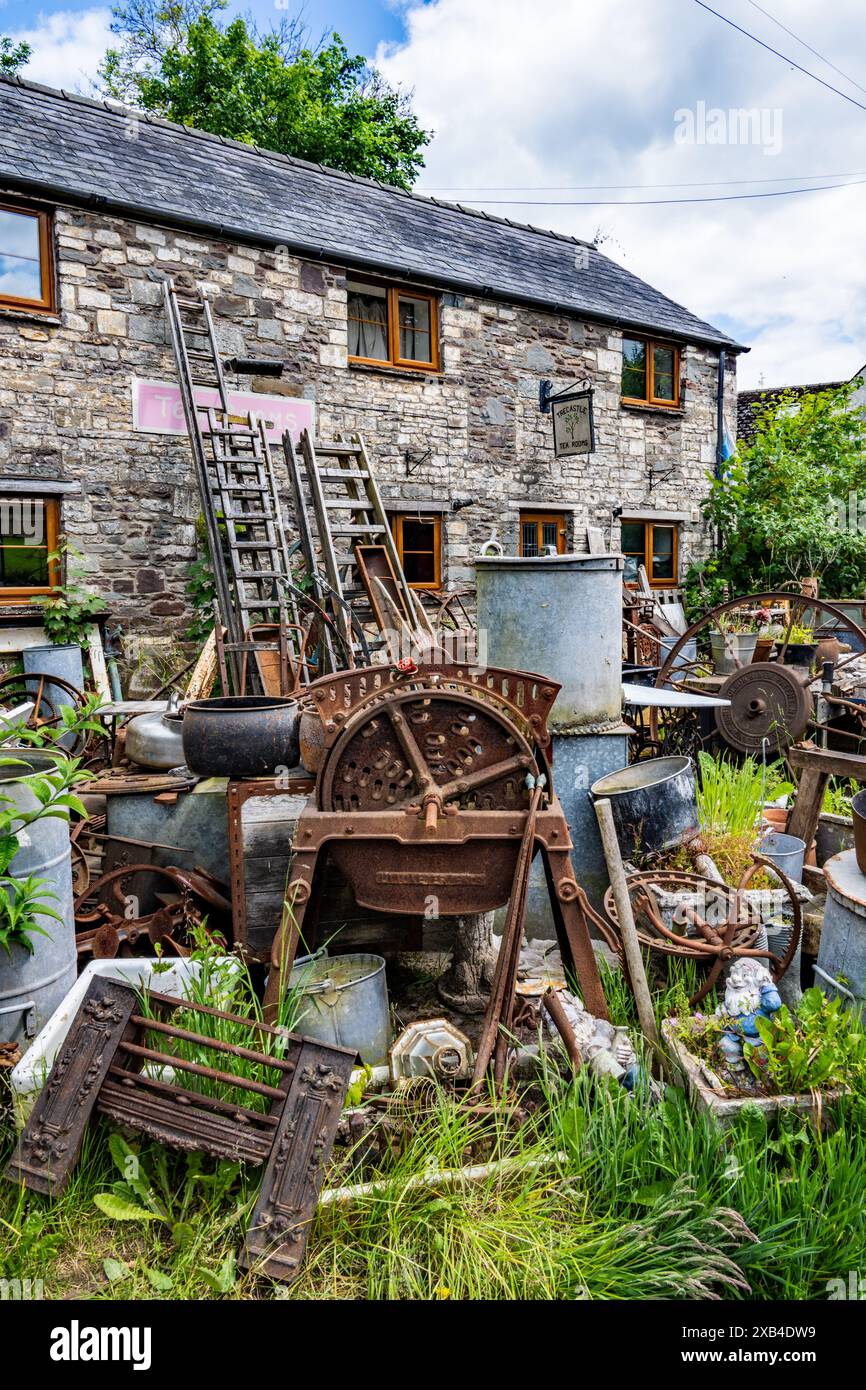 Treecastle hi-res stock photography and images - Alamy