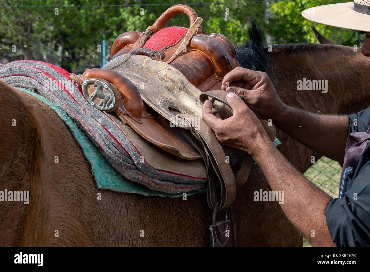 Argentine gaucho fixing horse saddle Stock Photo - Alamy