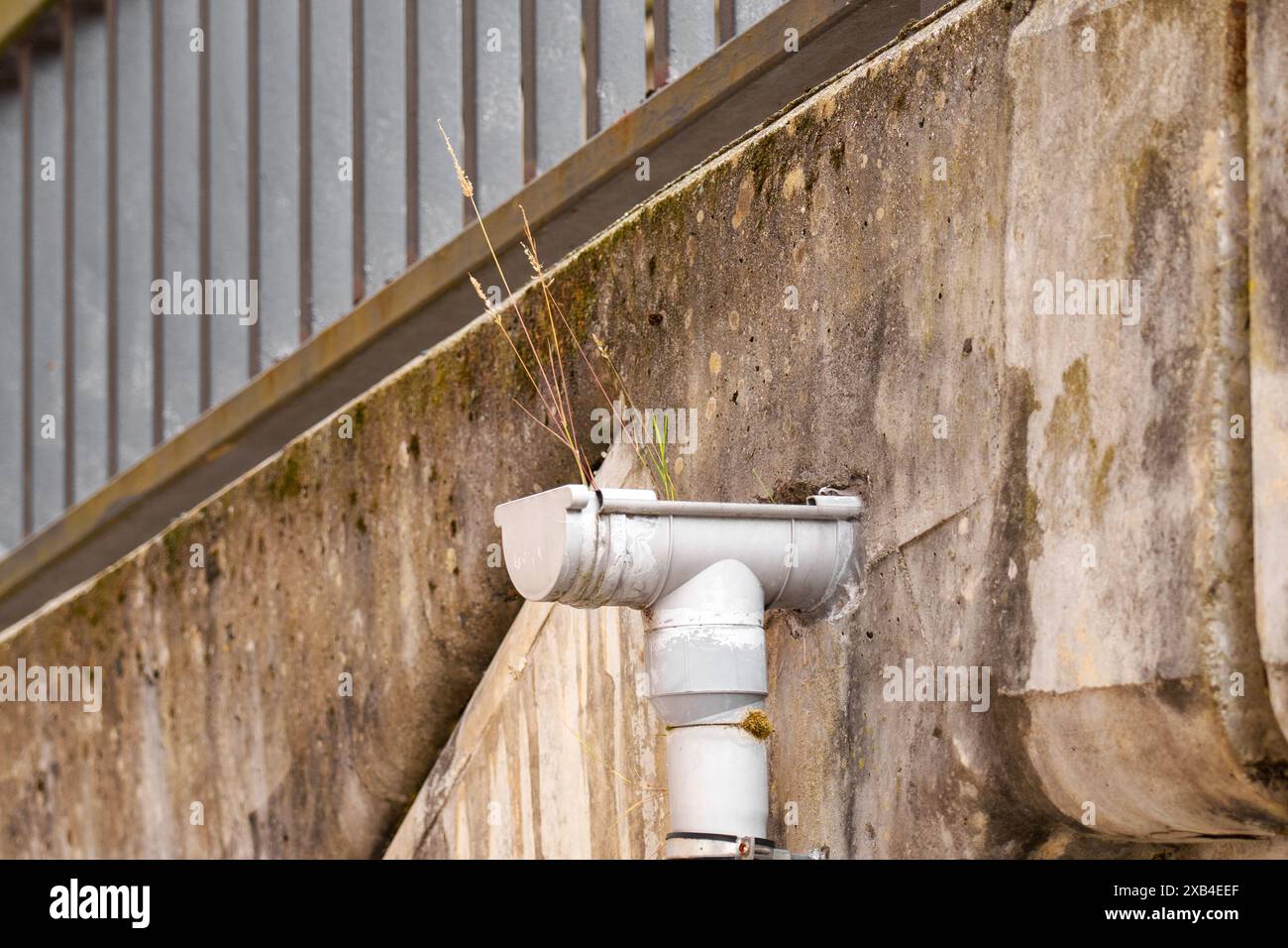 A clogged gutter of a plastic drainage pipe on the street coming out of ...