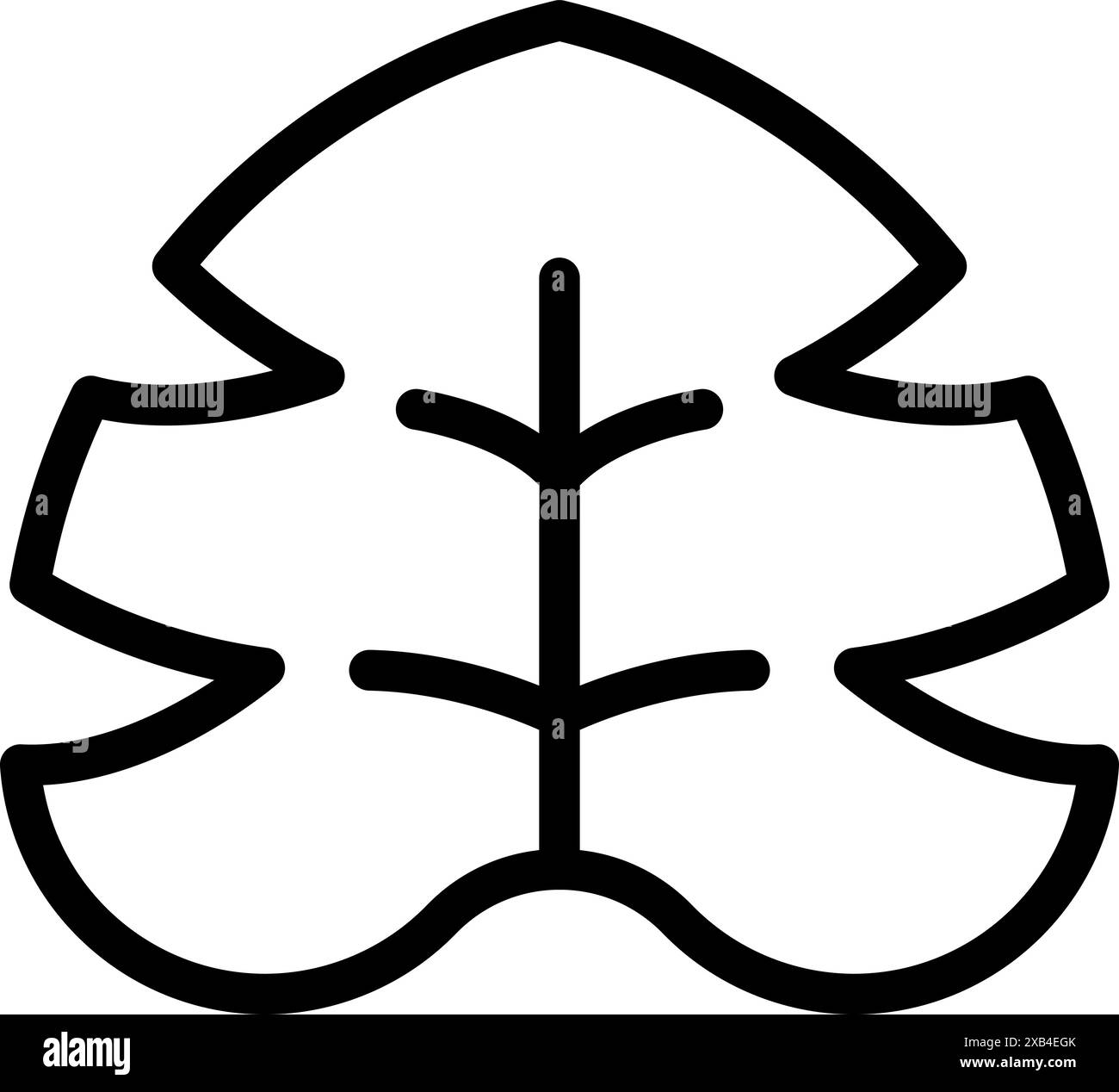 Simple line drawing of a monstera leaf, perfect for representing ...