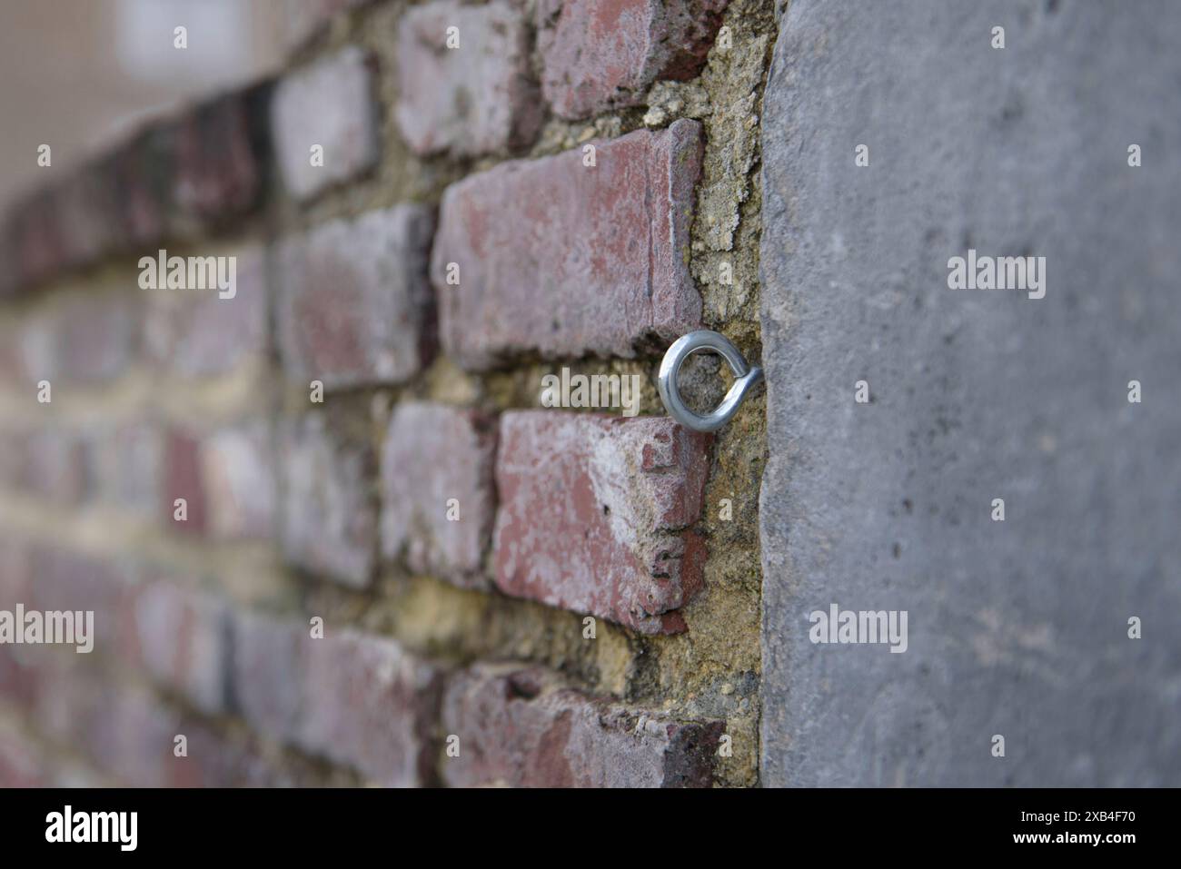Metal screw with ring for fastening in concrete brick wall. Close-up ...