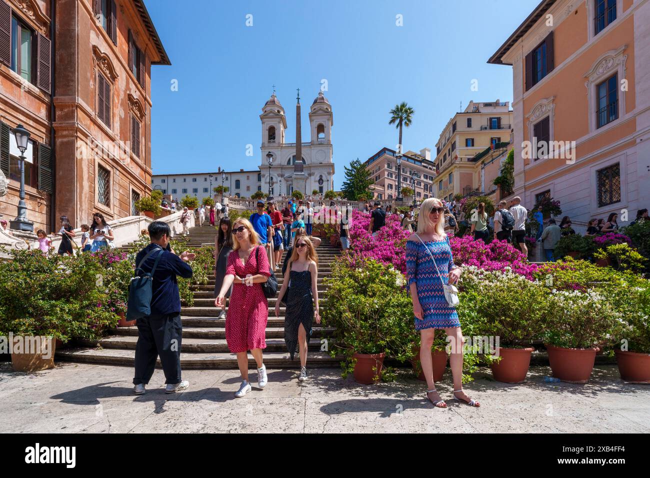 Laz vector hi-res stock photography and images - Alamy