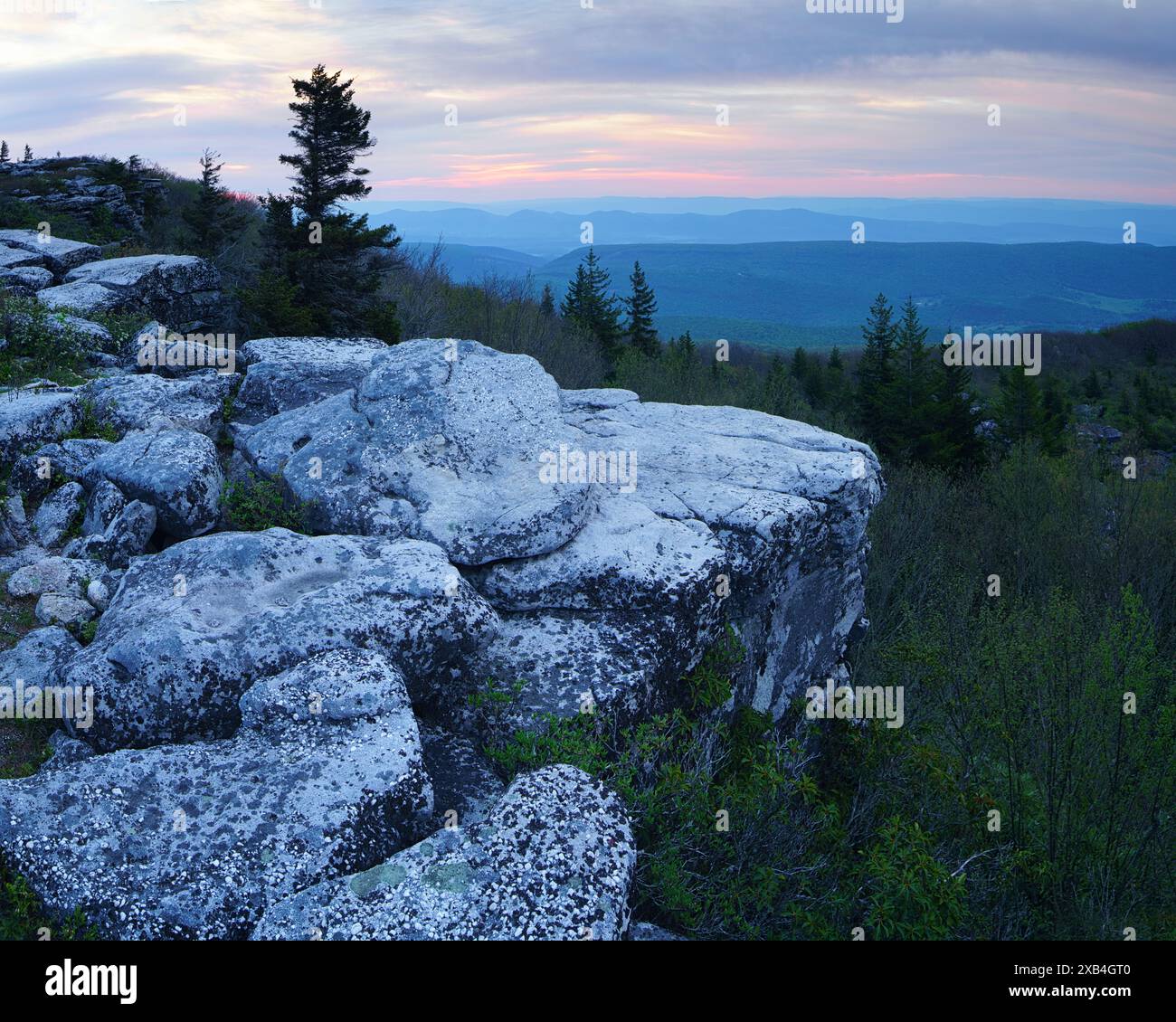 Pre-dawn light over Bear Rocks in Dolly Sods wilderness in the ...