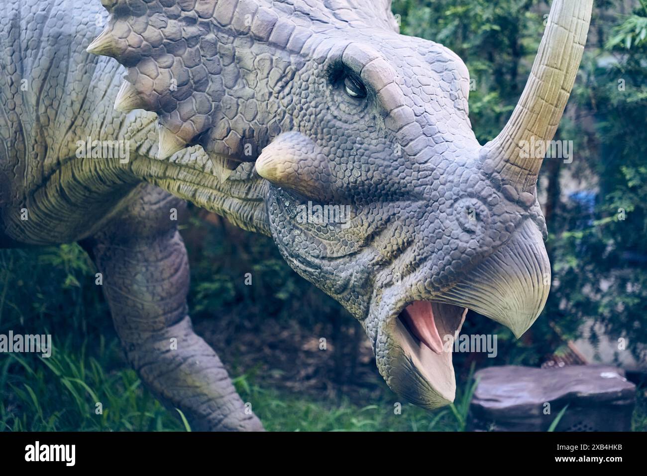 Styracosaurus, which had long horns on their noses, shorter horns on ...