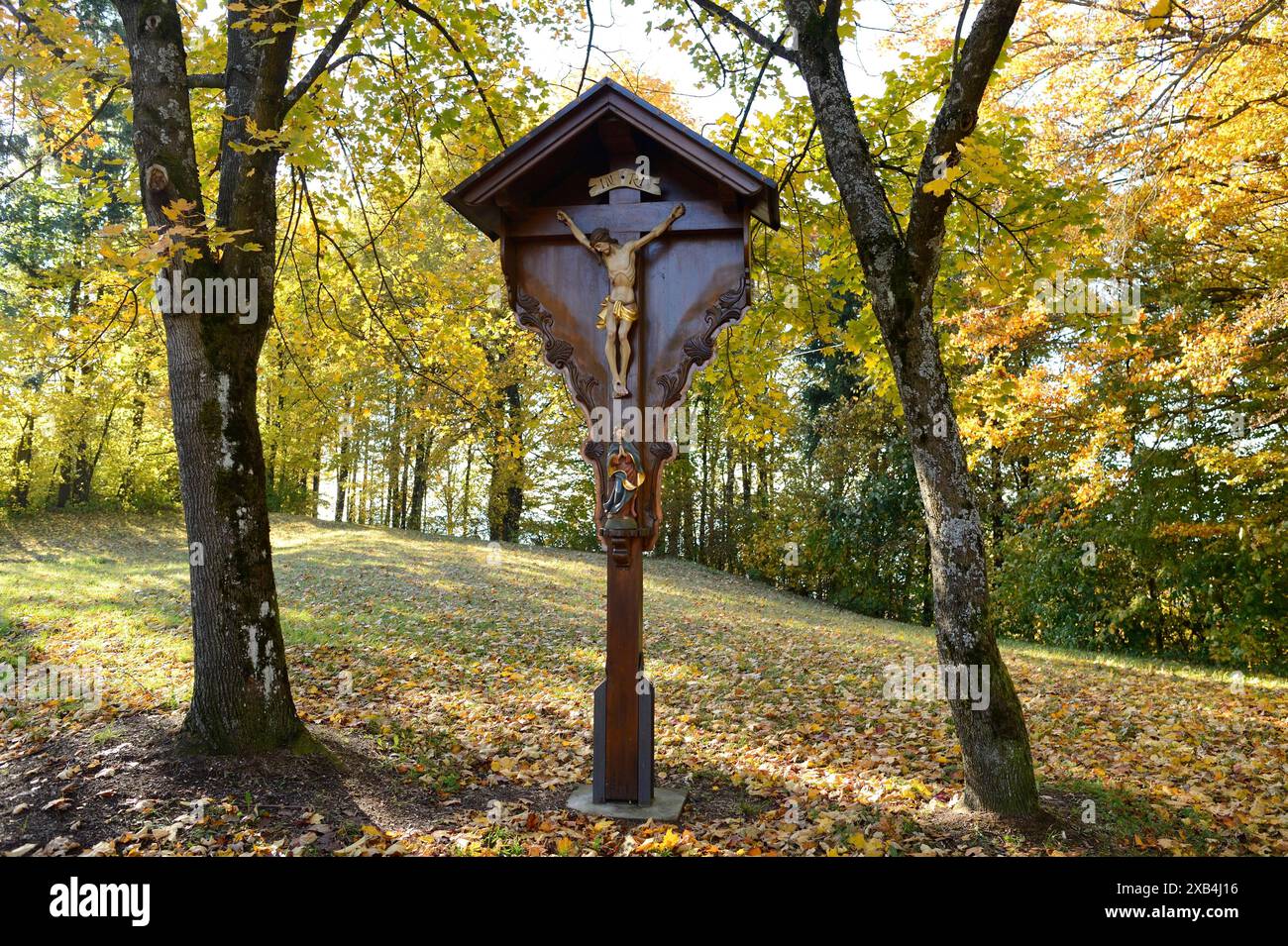 Wooden crucifix in an autumnal forest, surrounded by trees and falling ...