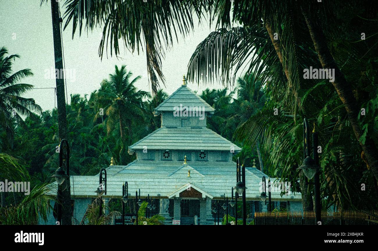 This image captures a tranquil temple nestled among lush palm trees ...
