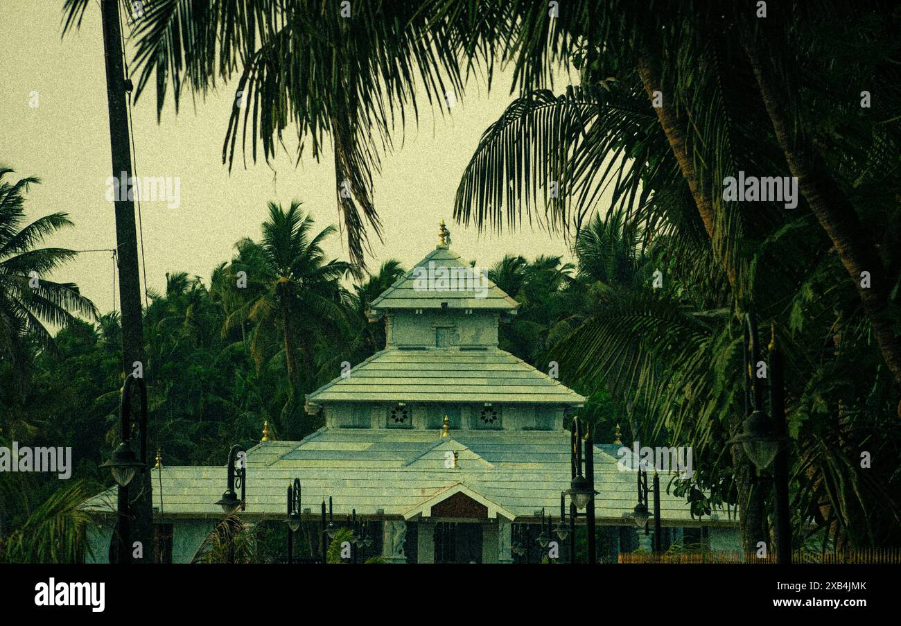 This image captures a tranquil temple nestled among lush palm trees ...