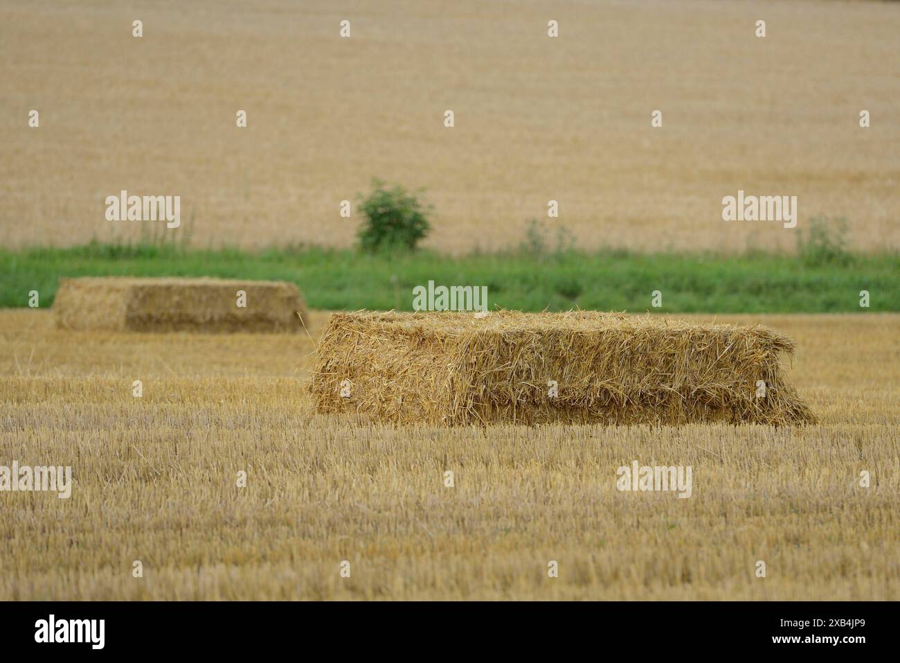 Cuboid bale of straw on a wide field with a green stripe in the ...