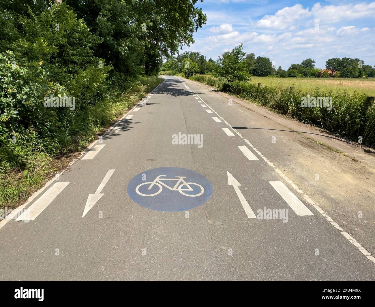 Bicycle lane with in the middle of lane marking on lane direction ...