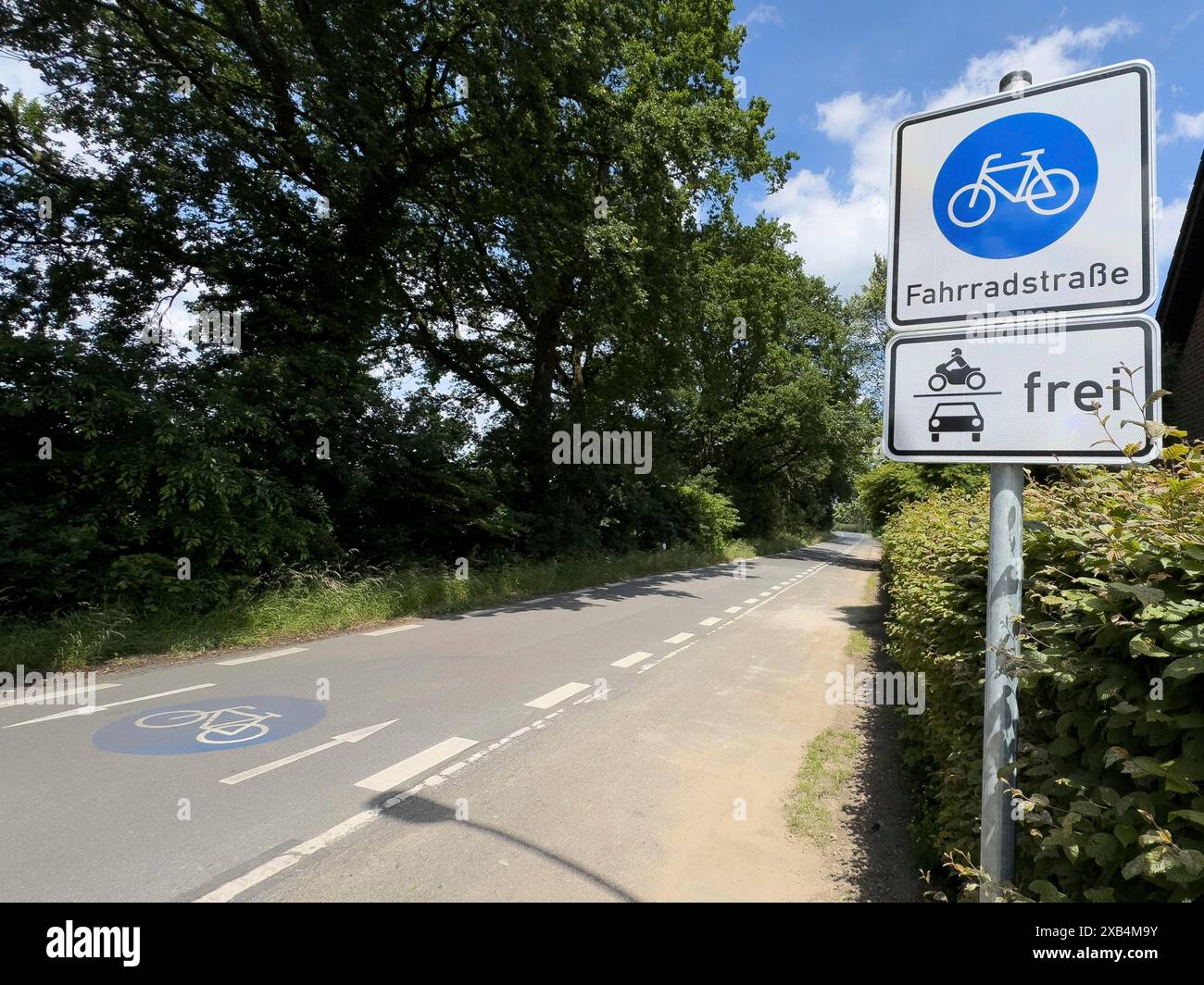 Traffic sign Bicycle road underneath sign with pictogram for cars ...
