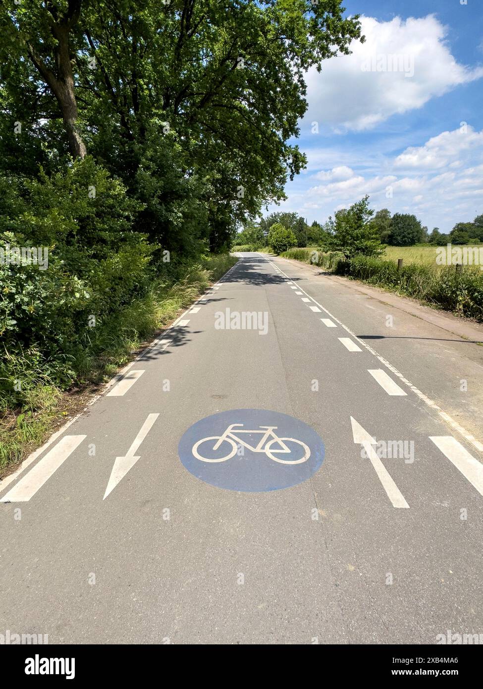 Bicycle lane with in the middle of lane marking on lane direction ...