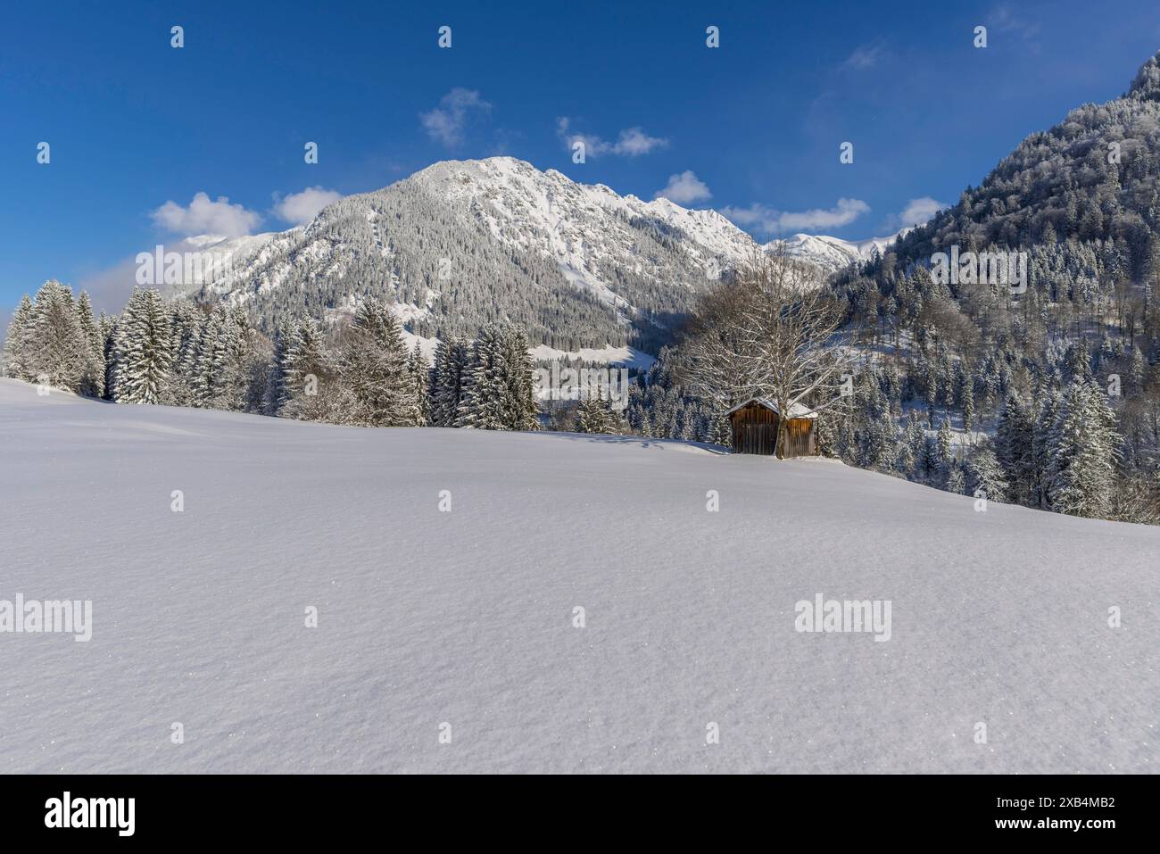 Snowy landscape, behind Schattenberg, 1845m, and Riffenkopf, 1748m ...