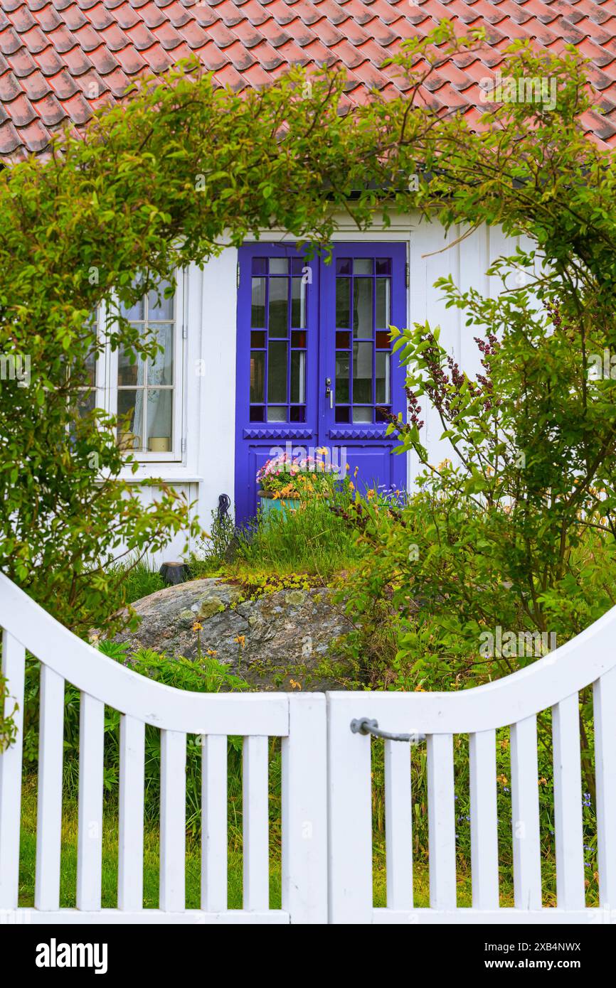 Charming entrance of a white cottage with vibrant blue doors and lush ...