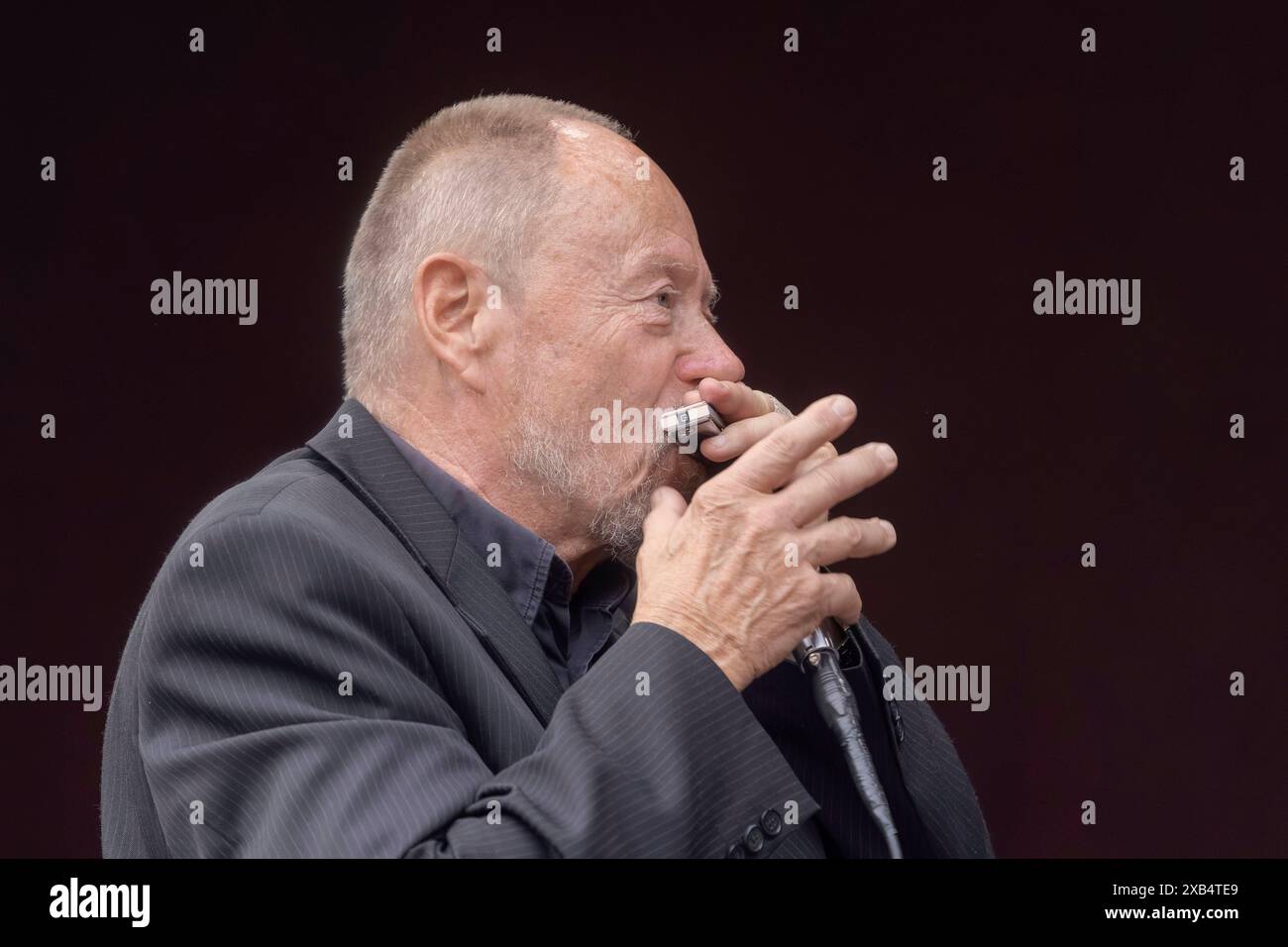 Bernd Kleinow Mundharmonika ist musikalischer Gast bei Thomas Stelzer ...