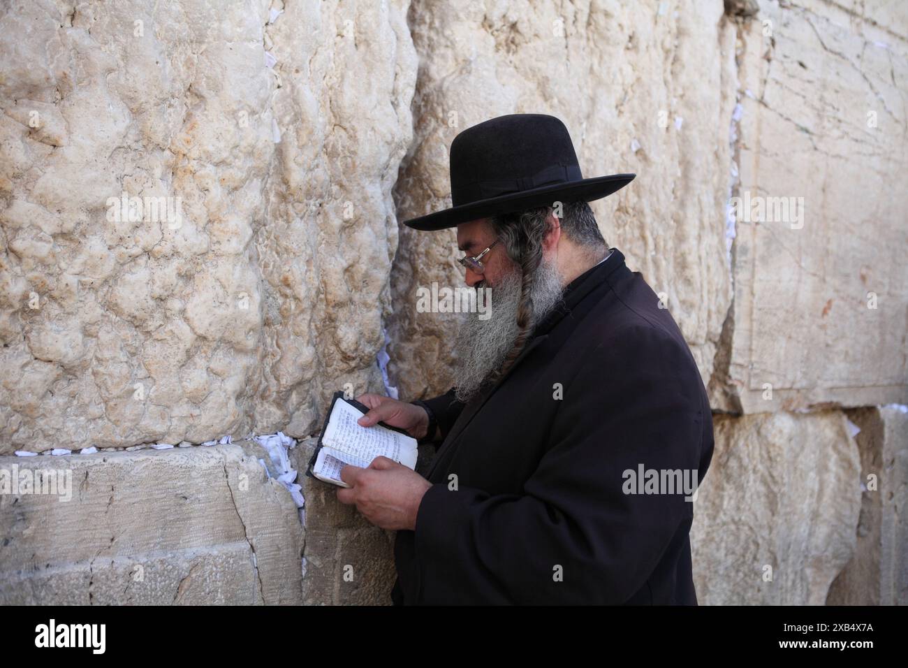 Ultra Orthodox Jew praying from a prayer book at the Western Wall ...