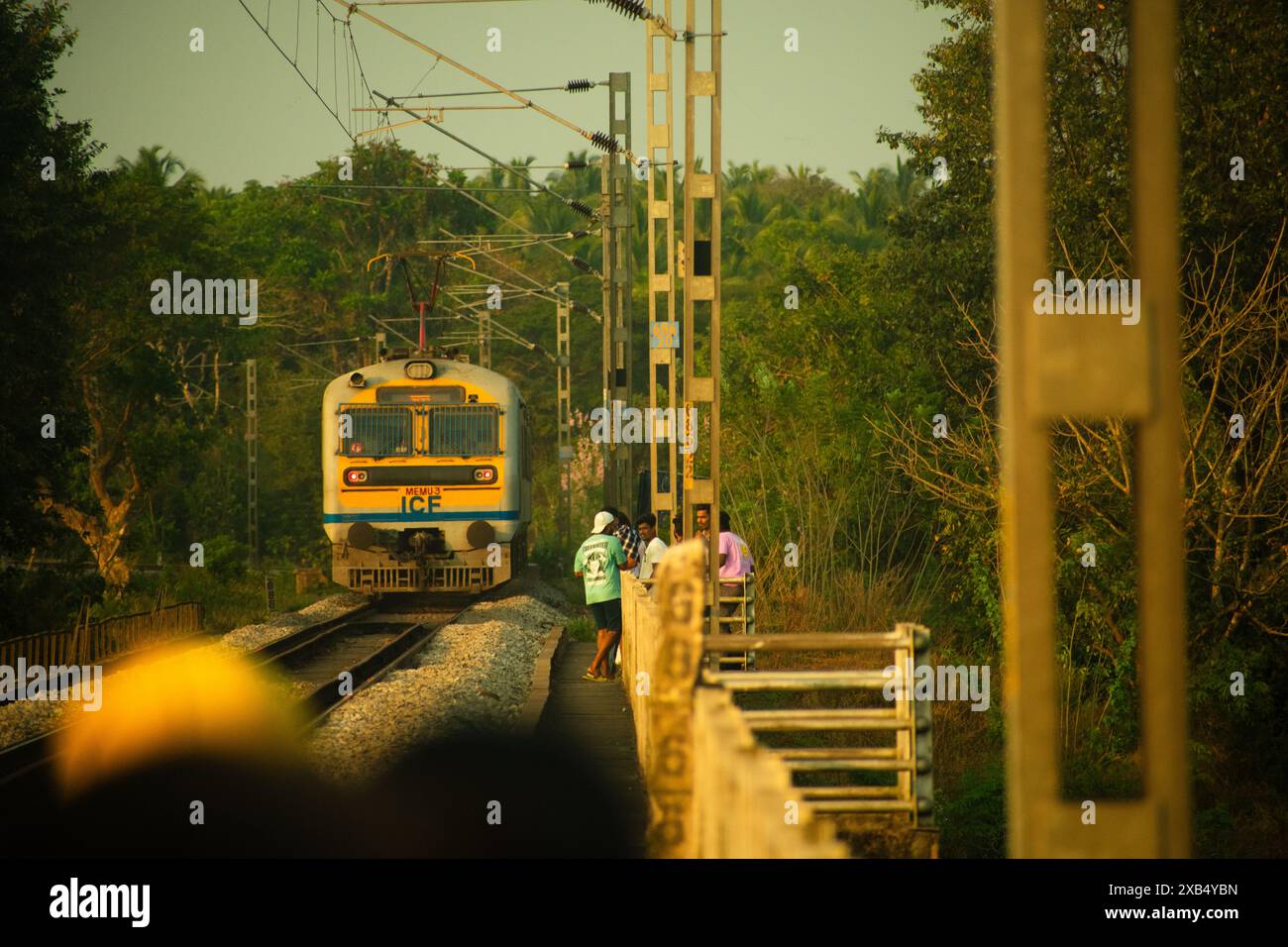 A local electric train makes its way through dense greenery, with ...