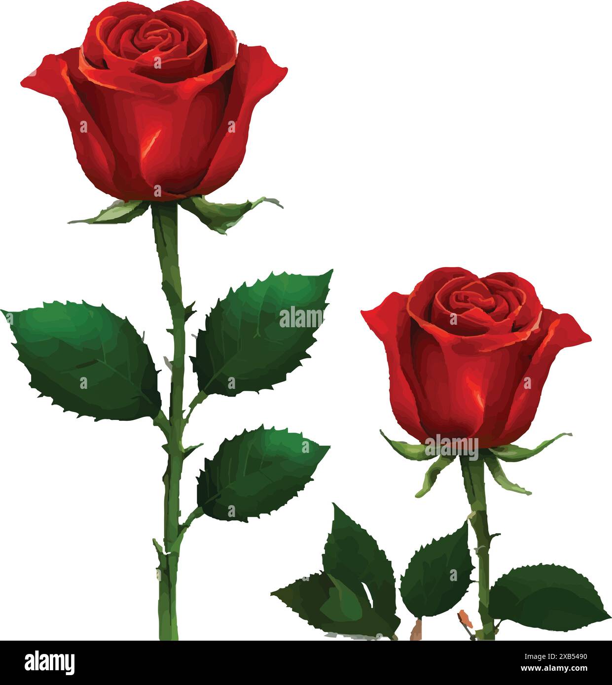 Red rose 3D flower isolated icon, vector illustration on white ...