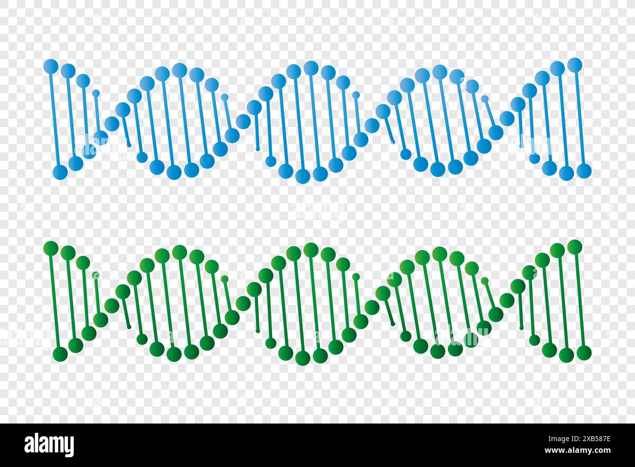 Border evolution Stock Vector Images - Alamy