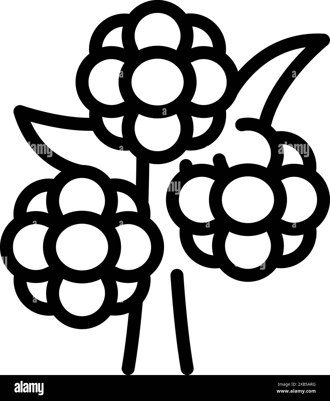 Spring flowers growing simple Cut Out Stock Images & Pictures - Alamy