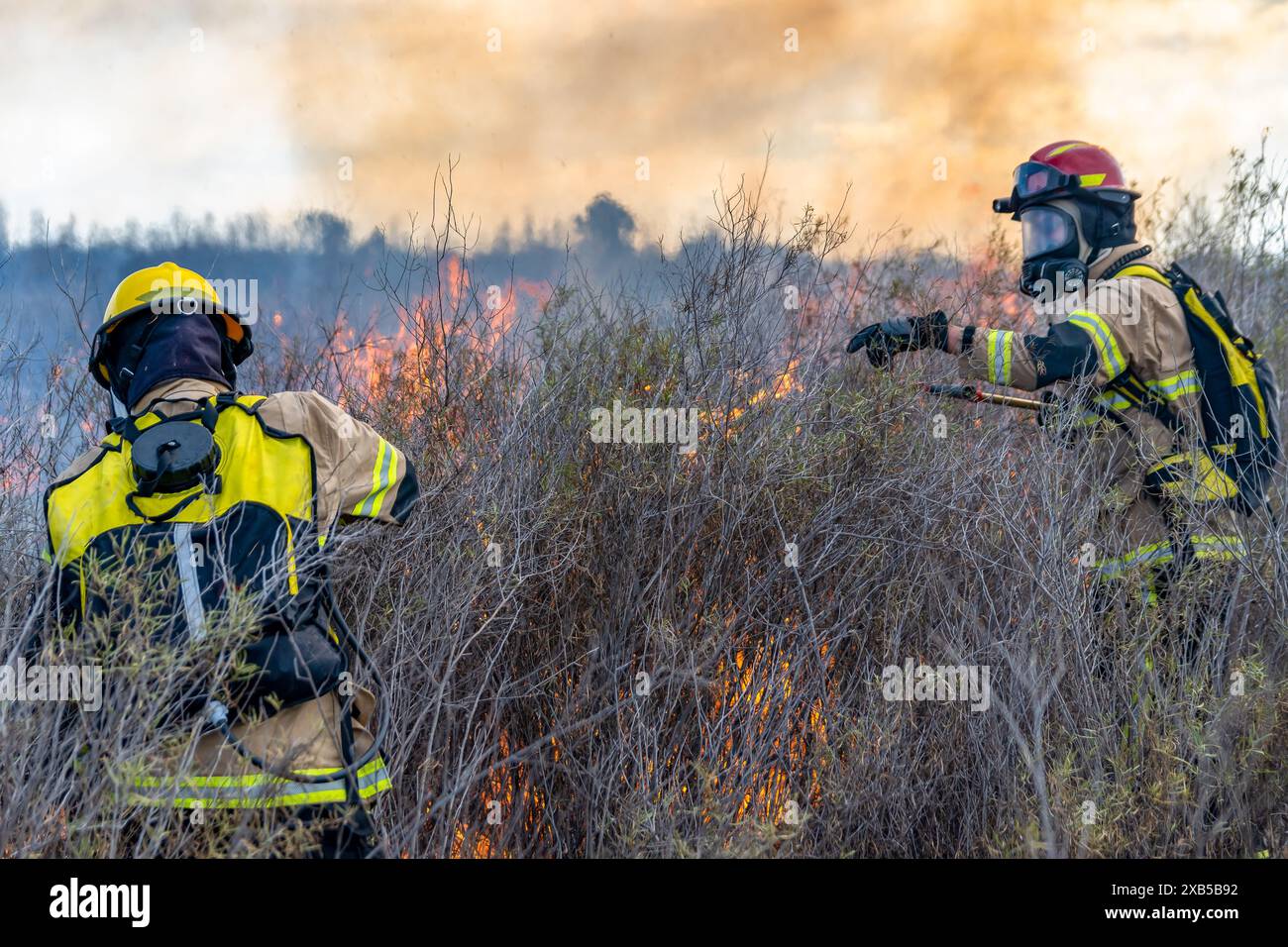 Firefighter in equipment extinguish forest hi-res stock photography and ...