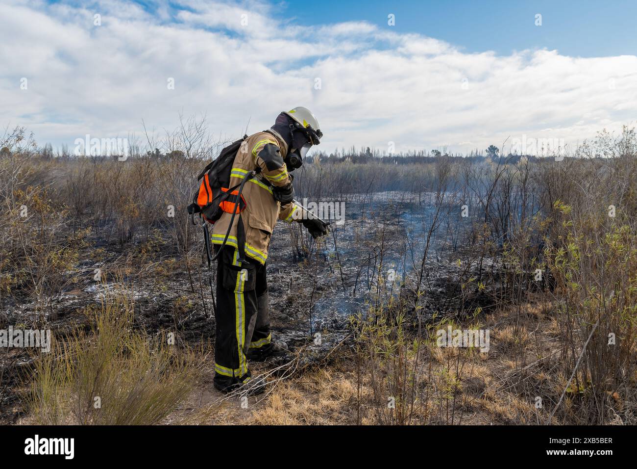 firefighters putting out forest fire Stock Photo - Alamy