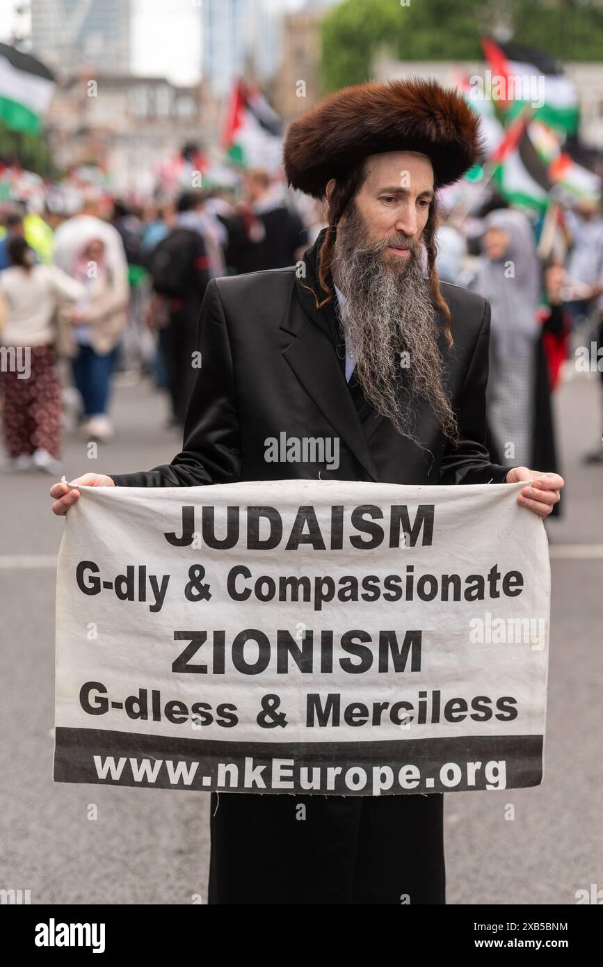 Protesters representing Jews at a Free Palestine protest in London ...