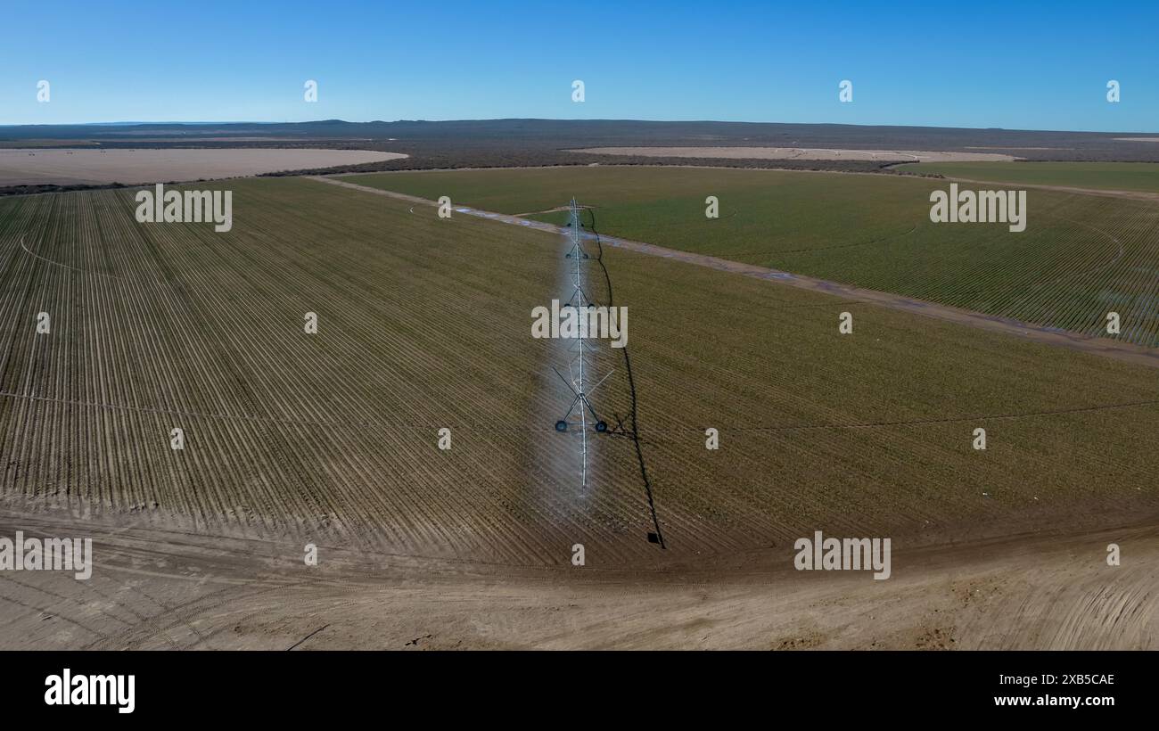 Pivot irrigation system, in the desert in Mendoza. Aerial view. Solar ...